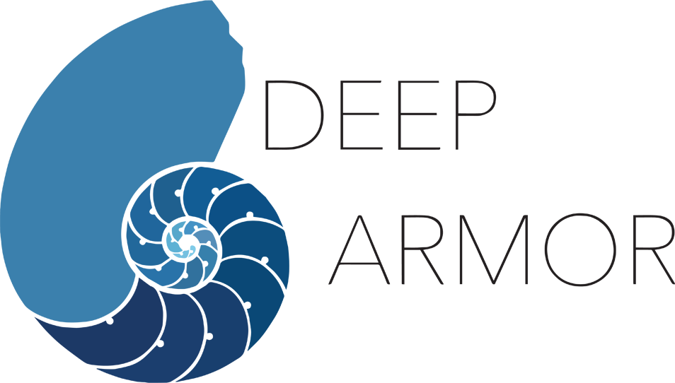 Deeparmor – Azcom IT Middle East